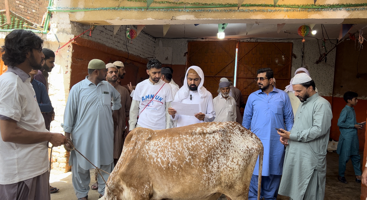 Qurbani Appeal – AMN RELIEF